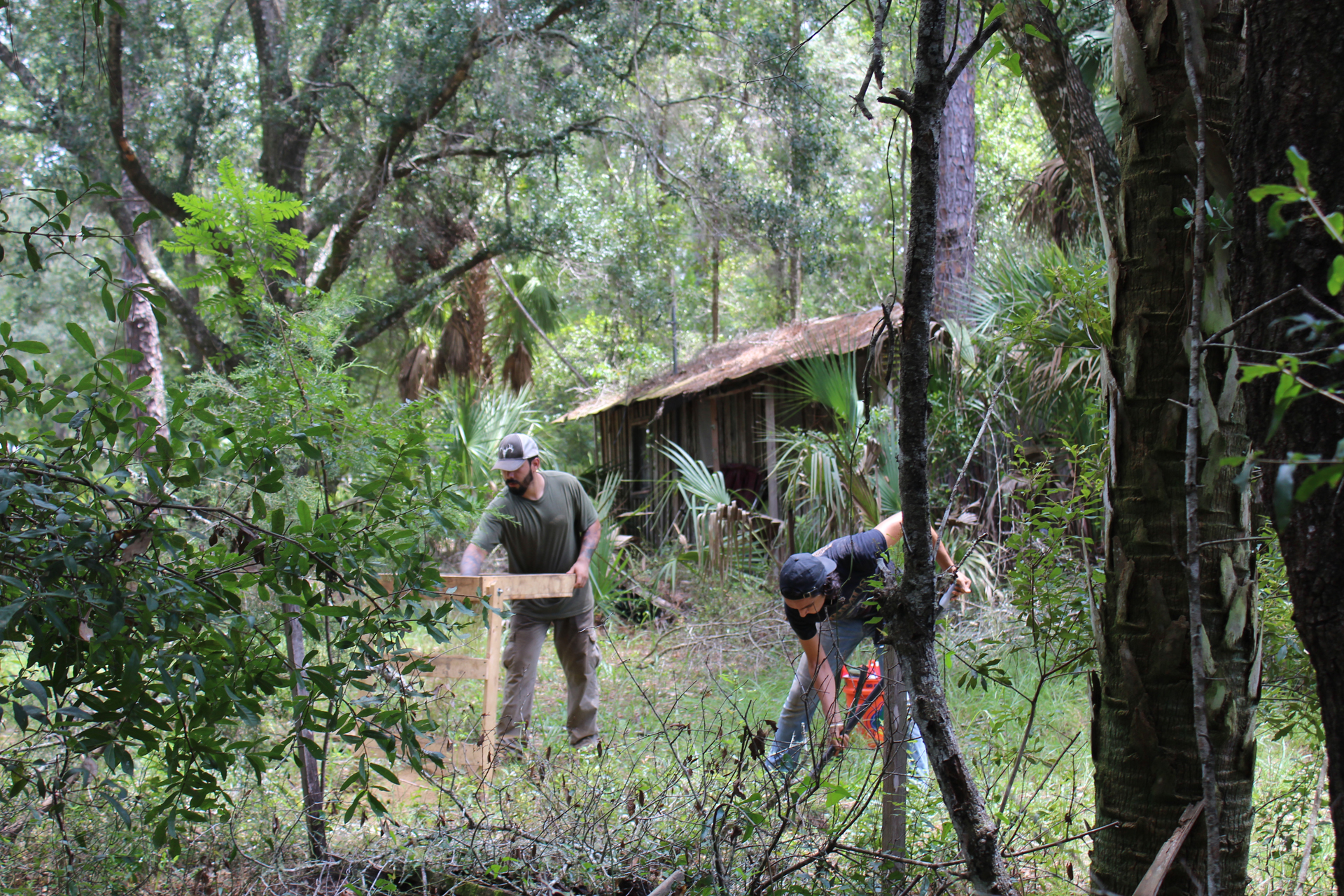 Interdisciplinary Research of Rosewood and Sumner (2018) – Edward ...